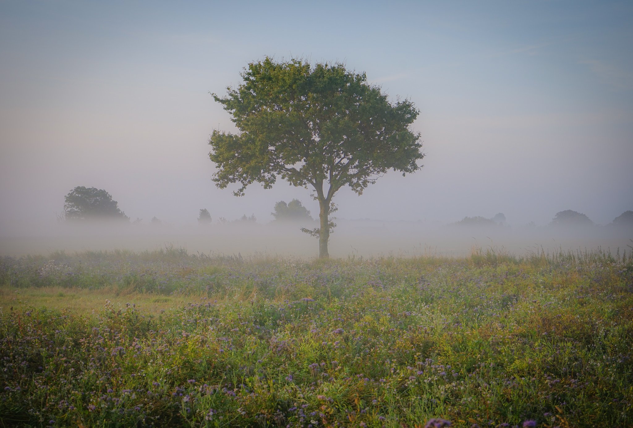 Upplev och läs mer om allt om Ven i din Island of Ven guide till ön